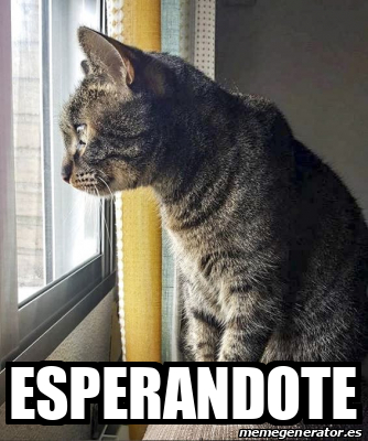Meme Personalizado - Esperandote - 32554747