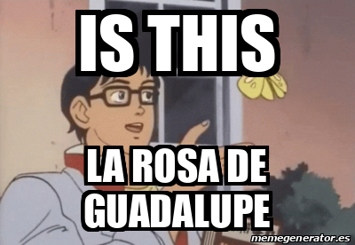 Meme Personalizado - Is this La rosa de Guadalupe - 32555560