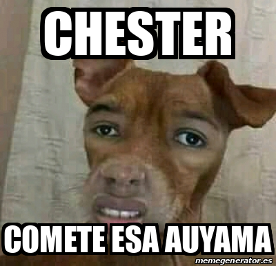 Meme Personalizado - Chester Comete esa Auyama - 32558678
