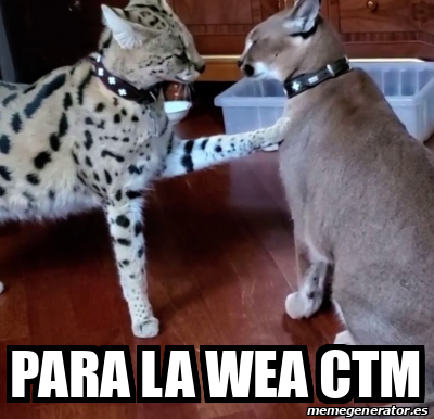 Meme Personalizado - para la wea ctm - 32558995