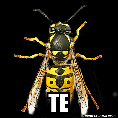 Meme Personalizado - te - 32559608