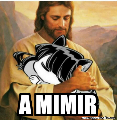 Meme Personalizado - a mimir - 32565697