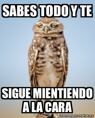 Meme Personalizado - sabes todo y te sigue mientiendo a la cara - 32566203