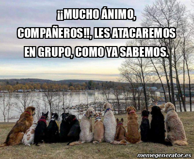 Meme Personalizado - ¡¡MUCHO ÁNIMO, COMPAÑEROS!!, les ATACAREMOS EN ...