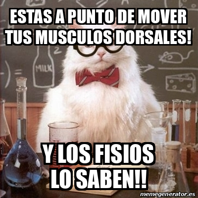 Meme Chemistry Cat - estas a punto de mover tus musculos dorsales! y ...