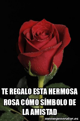 Meme Personalizado - Te regalo esta hermosa rosa cómo símbolo de la ...