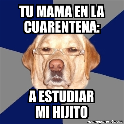Meme Perro Racista - tu mama en la cuarentena: a estudiar mi hijito ...