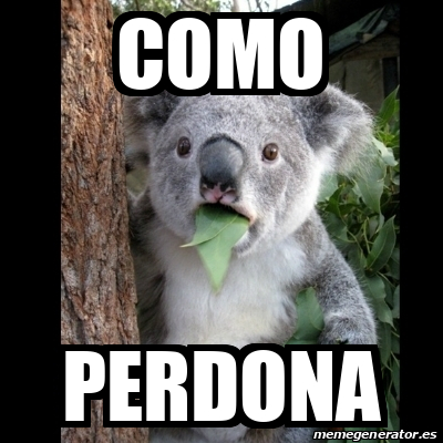 Meme Koala - Como Perdona - 32072201