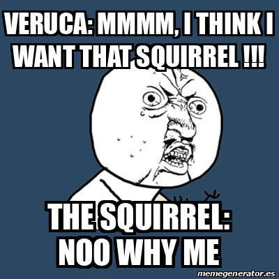 Meme Y U No - veruca: mmmm, I think I want that squirrel !!! the ...