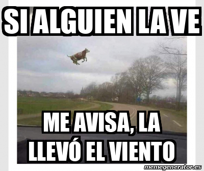 Meme Personalizado - Si alguien la ve Me avisa, la llevó el viento ...