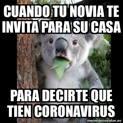 Meme Koala - cuando tu novia te invita para su casa para decirte que ...