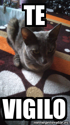 Meme Personalizado - Te Vigilo - 32073160