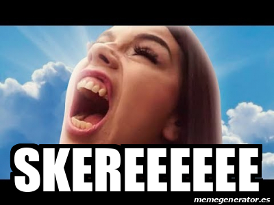 Meme Personalizado - SKEREEEEEE - 32079537