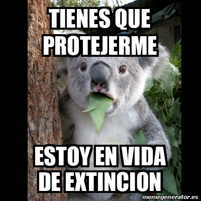 Meme Koala - Tienes que protejerme Estoy en vida de extincion - 32080021