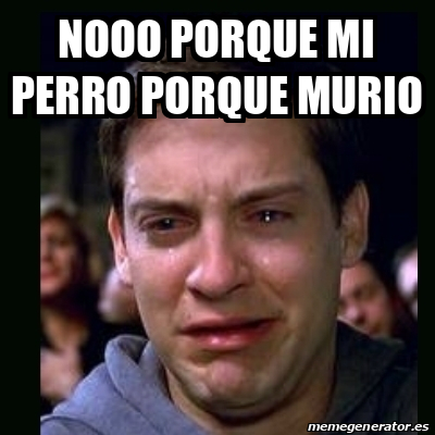 Meme crying peter parker - Nooo porque mi perro porque murio - 32082592