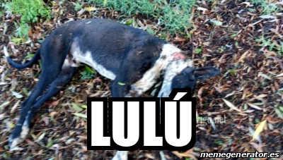Meme Personalizado - LULÚ - 32083252