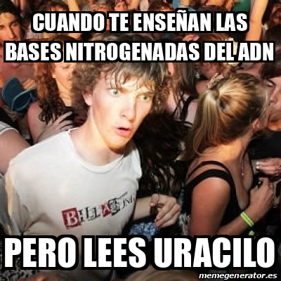 Meme Sudden Realization Ralph - cuando te enseñan las bases ...