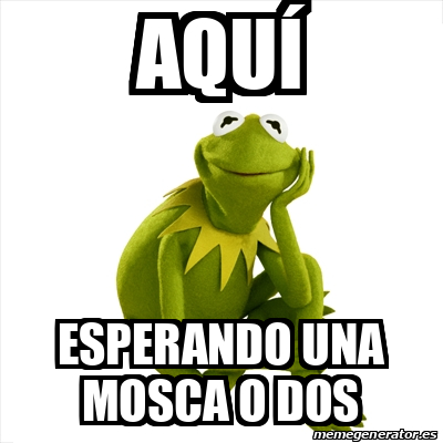 Meme Kermit the frog - aquí esperando una mosca o dos - 32086284