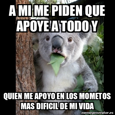 Meme Koala - a mi me piden que apoye a todo y quien me apoyo en los ...