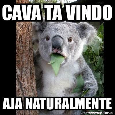 Meme Koala - cava ta vindo aja naturalmente - 32088589