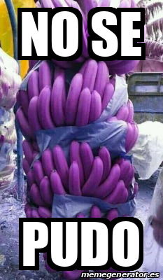 Meme Personalizado - no se pudo - 32089740