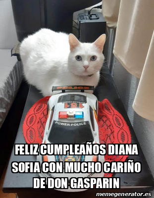 Meme Personalizado - FELIZ CUMPLEAÑOS DIANA SOFIA CON MUCHO CARIÑO DE ...