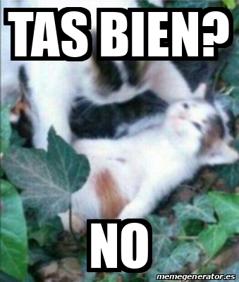 Meme Personalizado - tas bien? no - 32090145