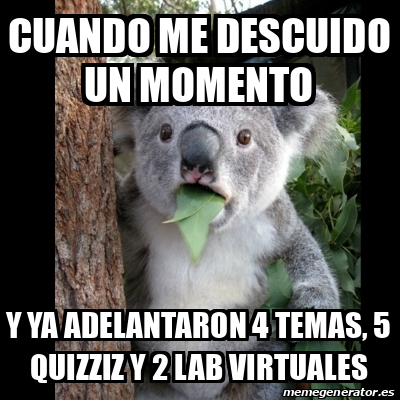 Meme Koala - cuando me descuido un momento y ya adelantaron 4 temas, 5 ...