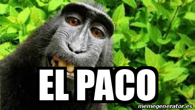 Meme Personalizado - el paco - 32095591