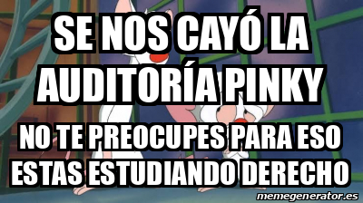 Meme Personalizado - Se nos cayó la Auditoría Pinky No te preocupes ...