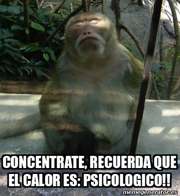 Meme Personalizado - CONCENTRATE, RECUERDA QUE EL CALOR ES: PSICOLOGICO ...