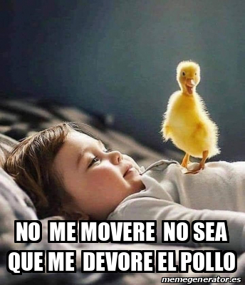 Meme Personalizado - no me movere no sea que me devore el pollo - 33110486