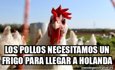 Meme Personalizado - LOS POLLOS NECESITAMOS UN FRIGO PARA LLEGAR A ...