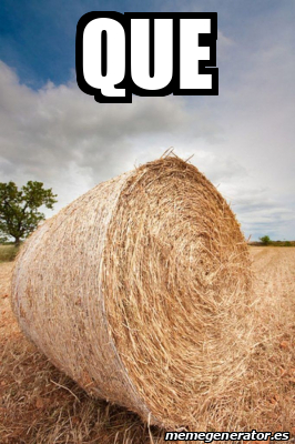 Meme Personalizado - Que - 33116006