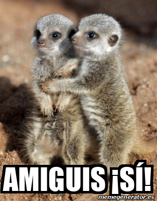 Meme Personalizado - AMIGUIS ¡SÍ! - 33119139