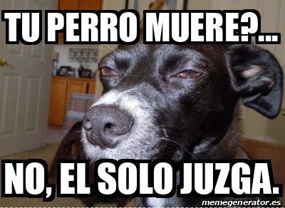Meme Personalizado - Tu perro muere?... no, el solo juzga. - 33119595