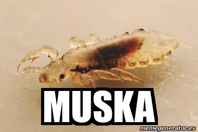 Meme Personalizado - muska - 33120210