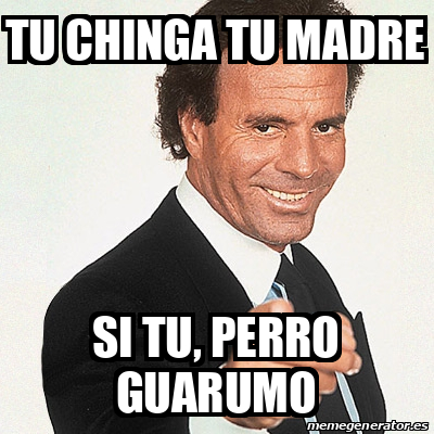 Meme Julio Iglesias - TU CHINGA TU MADRE SI TU, PERRO GUARUMO - 33122032