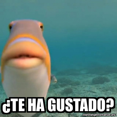 Meme Personalizado - ¿te ha gustado? - 33125183