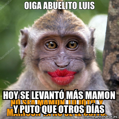 Meme Personalizado - Hoy se levantó más mamon y puto que otros días ...
