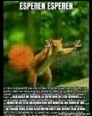Meme Personalizado - JAJAJAJAJJ ME ENCANTA LA EXPRESION DE ESTA SCIURUS ...