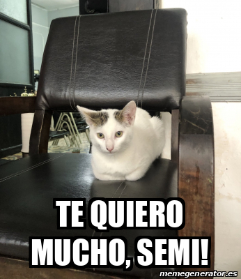 Meme Personalizado - Te quiero mucho, Semi! - 33137355