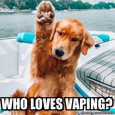 Meme Personalizado - who loves vaping? - 33140374