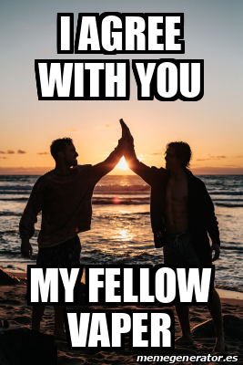Meme Personalizado - I AGREE WITH YOU MY FELLOW VAPER - 33140377