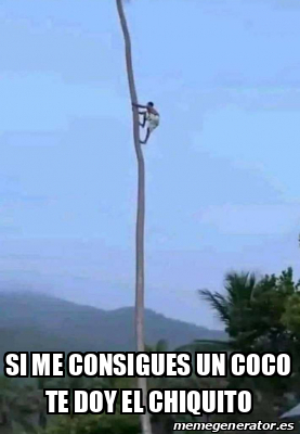 Meme Personalizado - Si me consigues un coco te doy el chiquito - 33142266