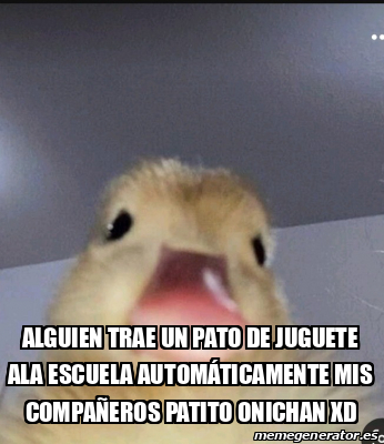 Meme Personalizado - Alguien trae un pato de juguete ala escuela ...