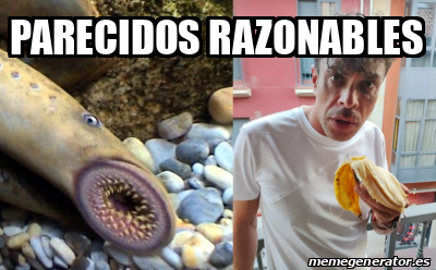 Meme Personalizado - Parecidos razonables - 33145392