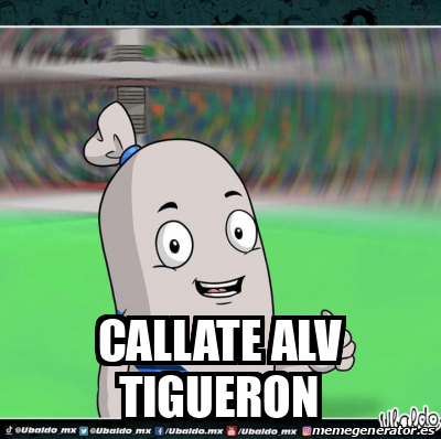Meme Personalizado - CALLATE ALV TIGUERON - 33149206