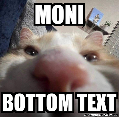 Meme Personalizado - Moni Bottom text - 33150328