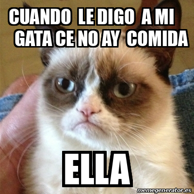 Meme Grumpy Cat - cuando le digo a mi gata ce no ay comida ella - 33151945